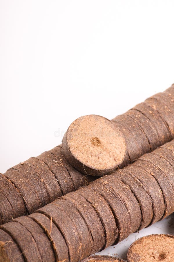 Coconut Tablets for Growing Stock Photo - Image of small, blocks: 54709682