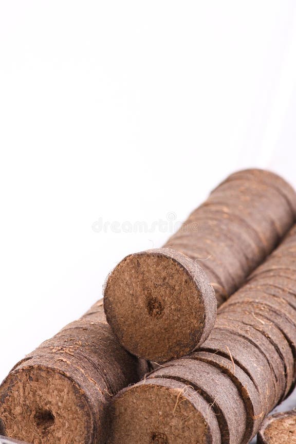 Coconut Tablets for Growing Stock Image - Image of cultivation ...