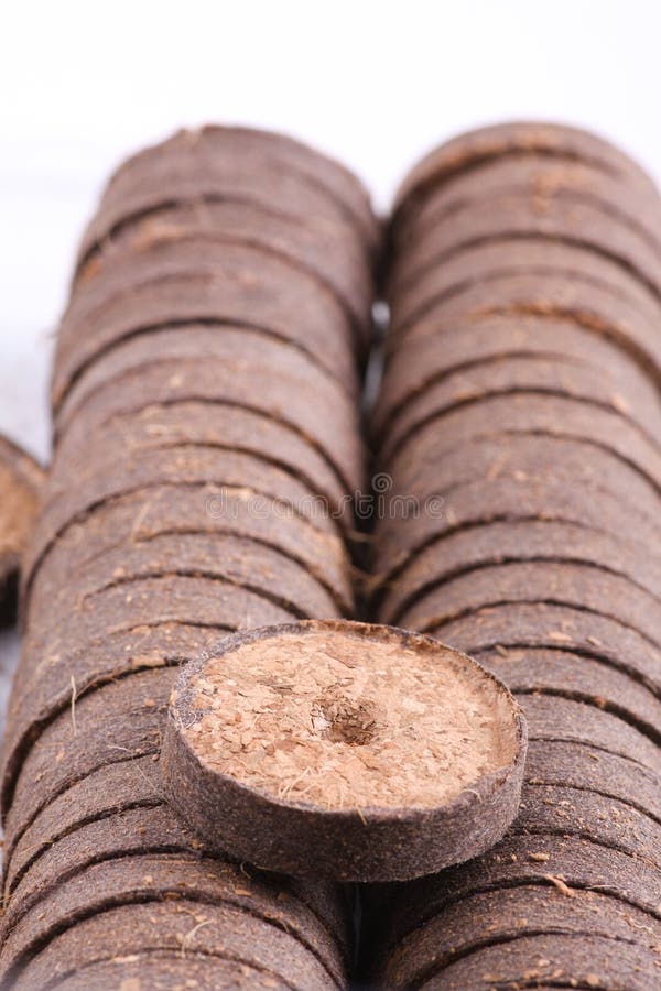 Coconut Tablets for Growing Stock Photo - Image of small, blocks: 54709682