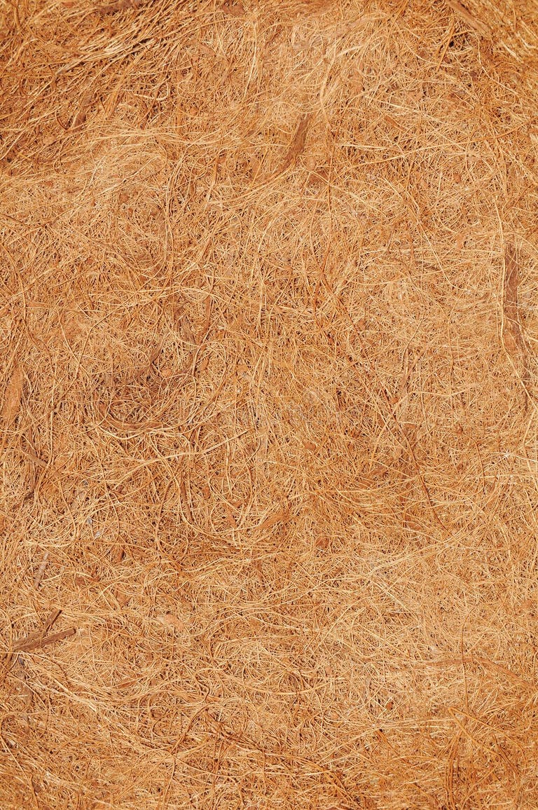 10,427 Coconut Wood Texture Stock Photos - Free & Royalty-Free Stock ...
