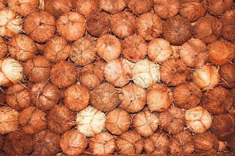 Coconut texture background stock image. Image of flora - 9229031