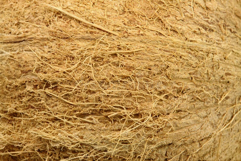Coconut texture stock image. Image of outdoor, wire, texture - 25194671