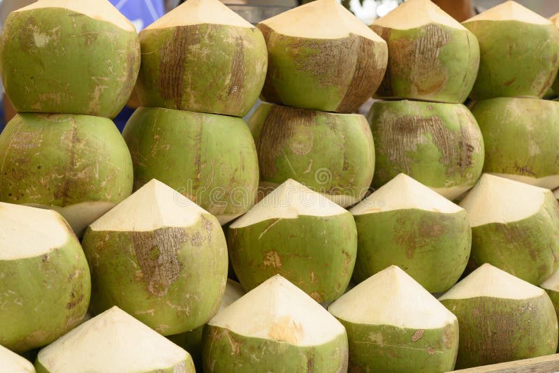 Coconut Thai stock image. Image of young, nature, green - 164465625