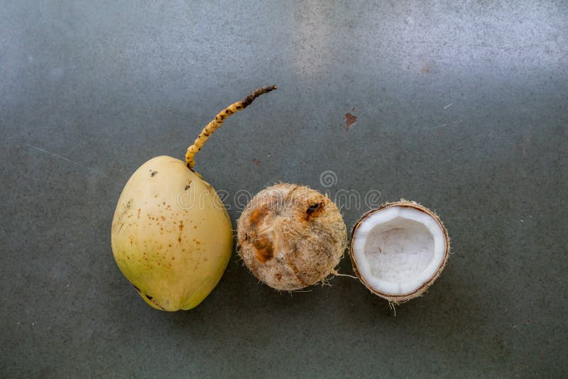 Coconut In Two Forms. One Whole Coconut Green In Backdrop And Two In ...