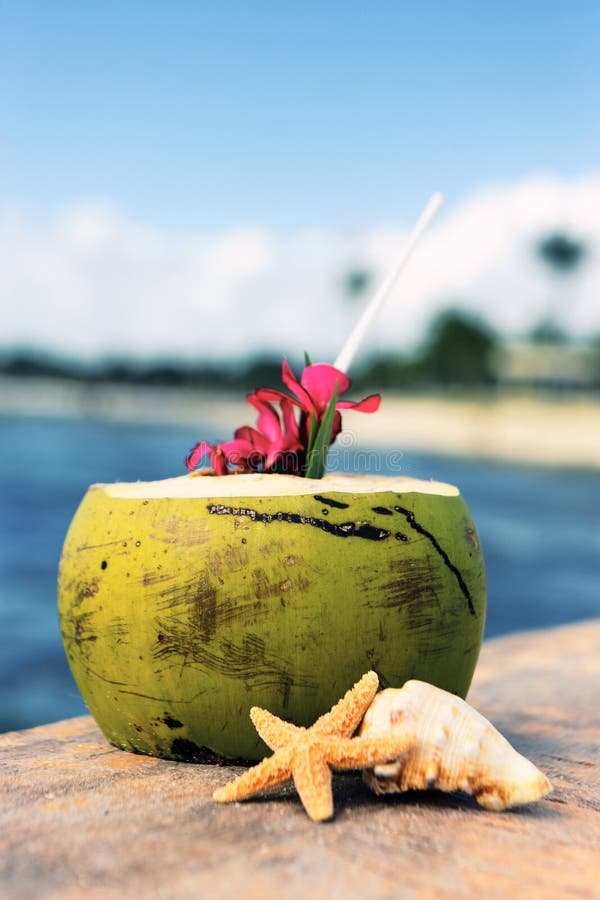 Coconut time stock image. Image of ocean, outdoor, coast - 22612069