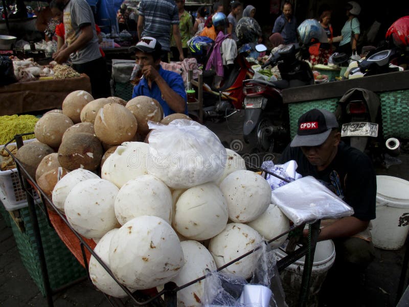 Coconut editorial photo. Image of traders, food, marketplace - 76972176