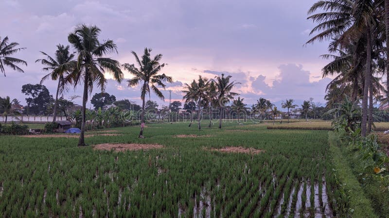 Afternoon Bandung Baleendah Stock Photos - Free & Royalty-Free Stock ...