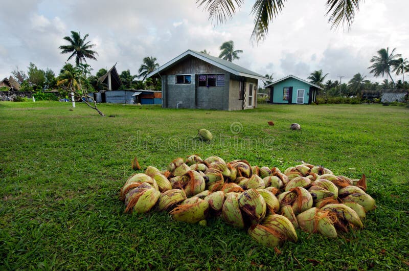 Coconut Tree in Aitutaki Lagoon Cook Islands Stock Image - Image of ...