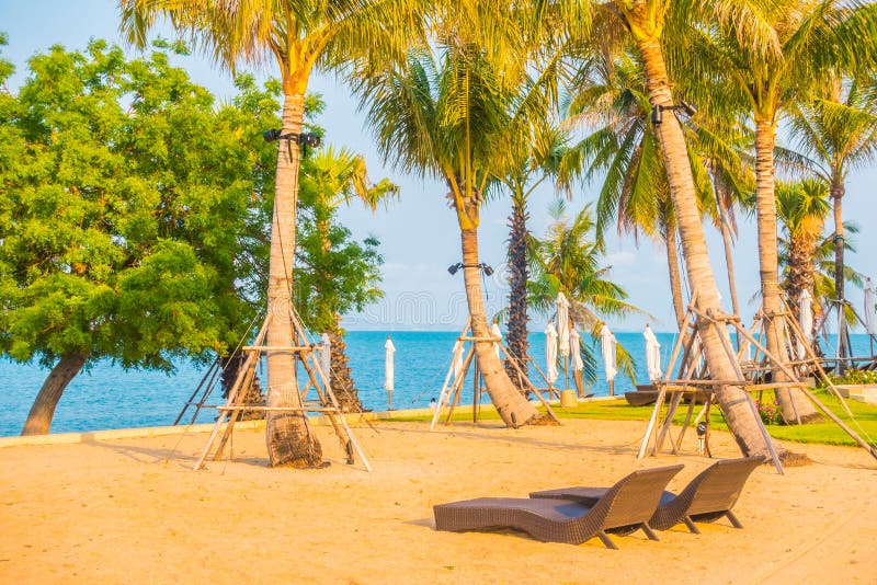 Coconut tree on the beach stock photo. Image of beautiful - 68454820