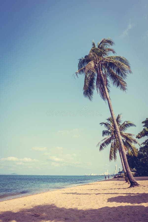 Coconut tree on the beach stock photo. Image of beautiful - 68454820