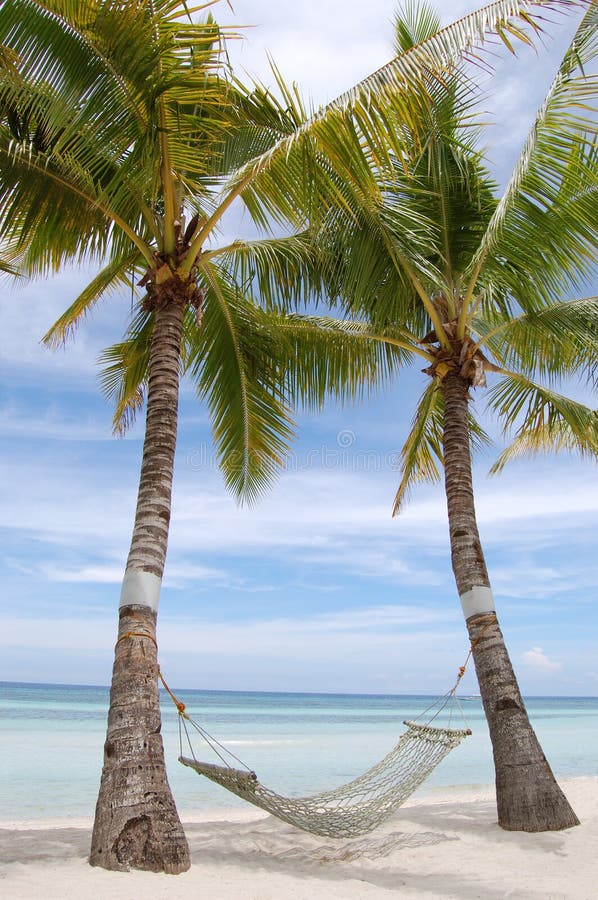 Coconut Tree on Beach Side with Cradle Stock Image - Image of ...