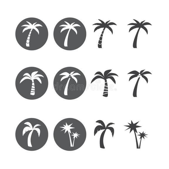 Cycad Tree Stock Illustrations – 1,195 Cycad Tree Stock Illustrations ...