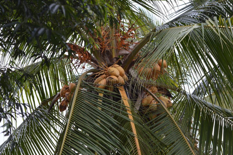 Nwaterly Stock Photos - Free & Royalty-Free Stock Photos from Dreamstime