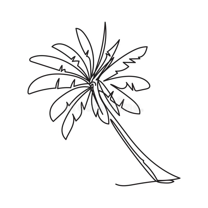 Coconut Tree Continuous Line Drawing. Vector Illustration Isolated ...