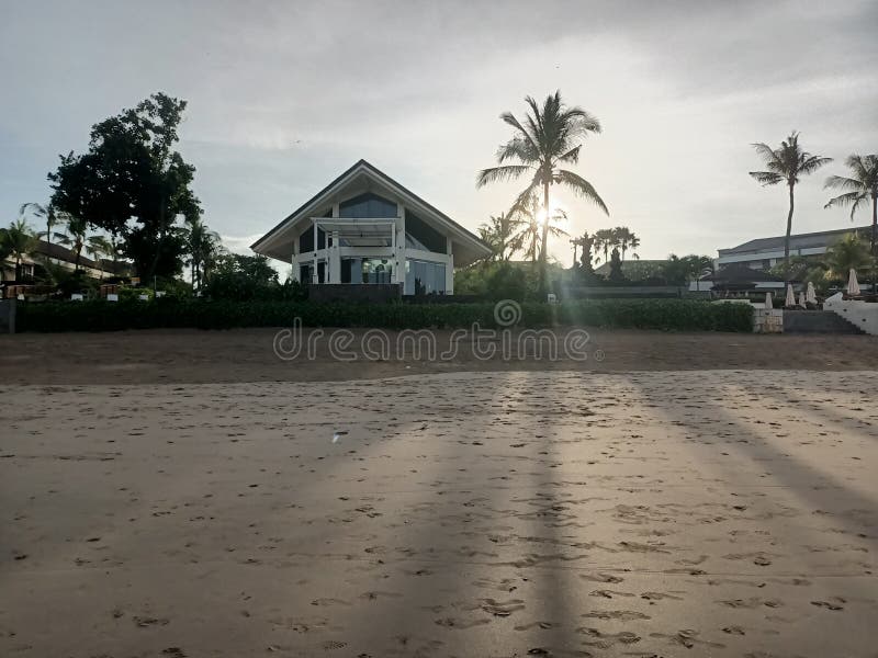 Coconut Tree beside the House by the Beach in the Morning Sun Stock ...