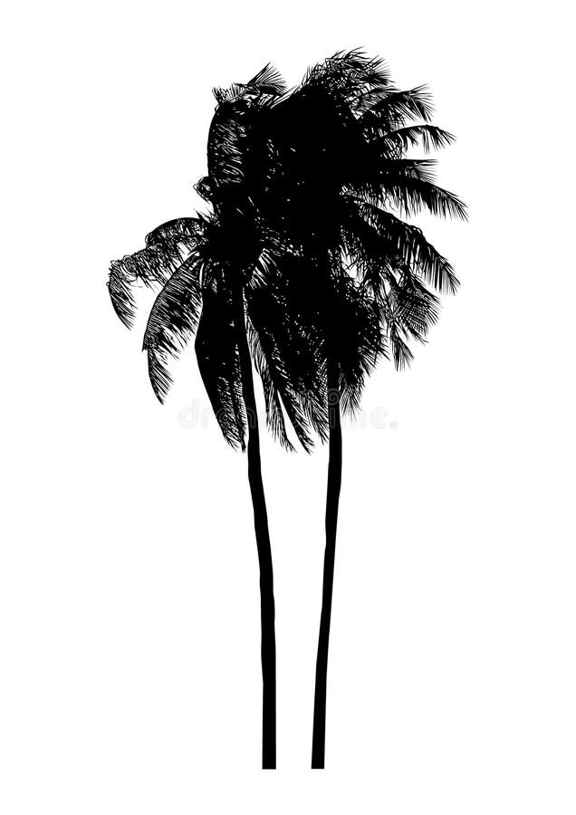 Coconut Tree, Isolated Natural Summer Plant Sign, Vector Illustration ...