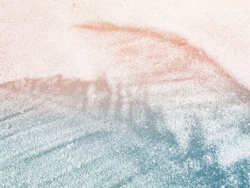 Top View of Abstract Coconut Leaf Shadow on the Ground Stock Image ...