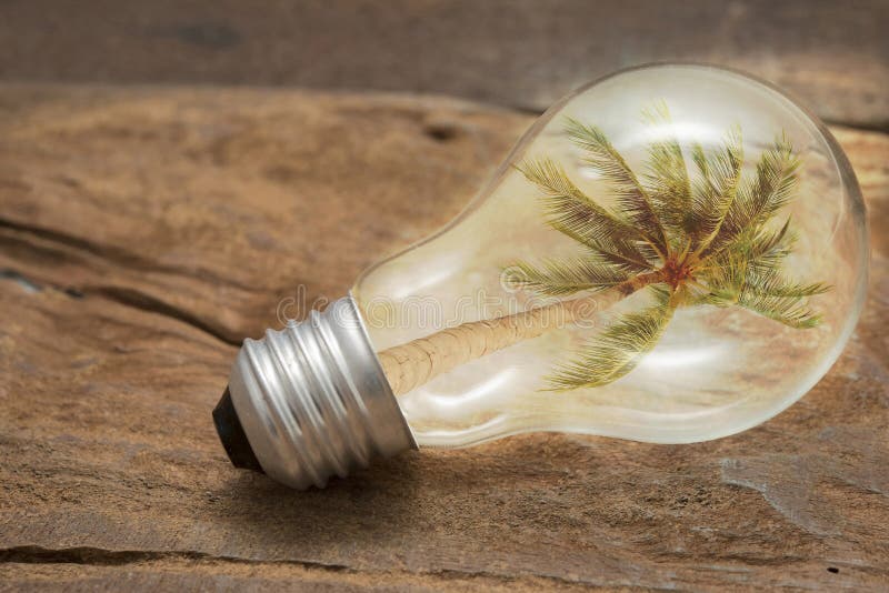 Coconut Tree in Light Bulb on Wood Floor Stock Image - Image of ...