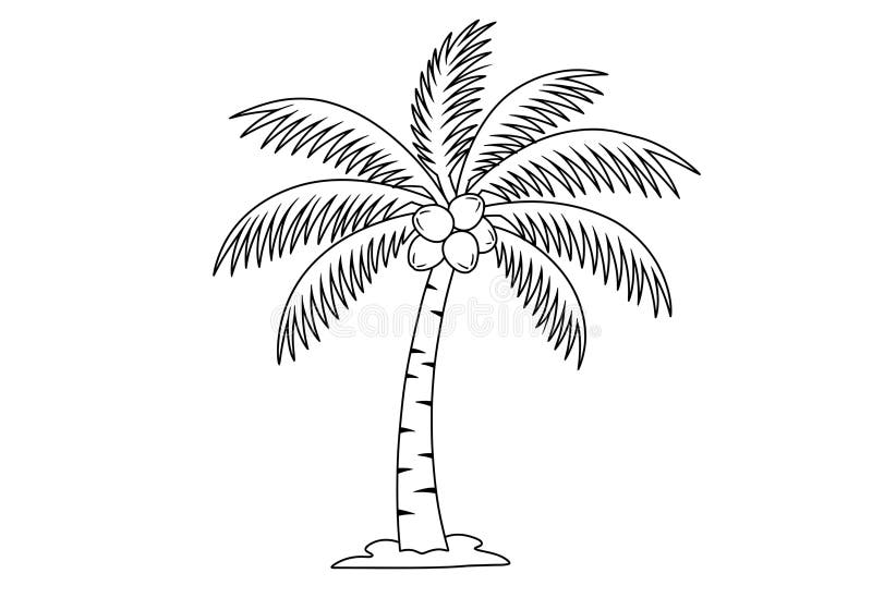 Coconut tree line art stock vector. Illustration of palm - 365703948