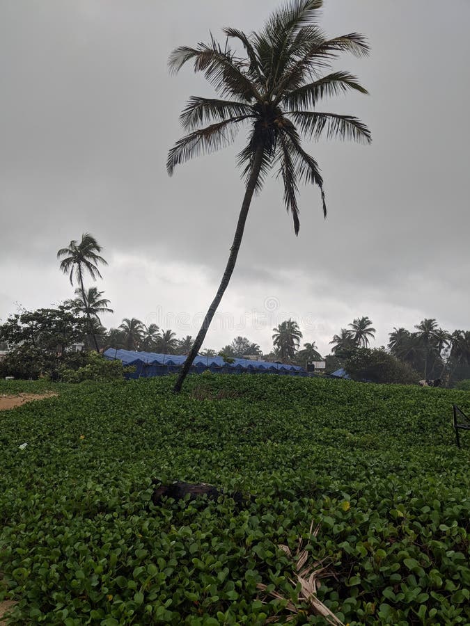 Basic but beautiful stock image. Image of beautiful - 128104515