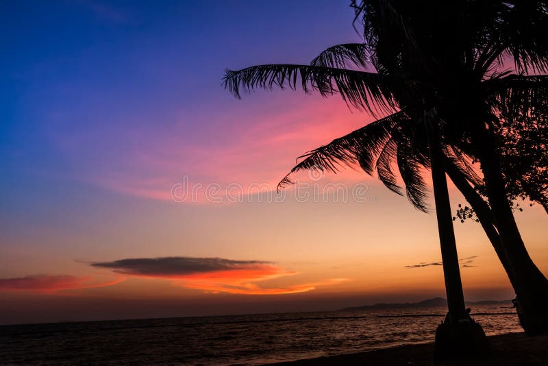 Coconut Tree Silhouette Sunset Background Stock Image - Image of travel ...