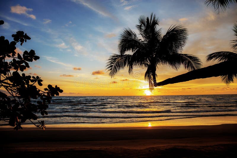 Coconut tree with sunset. stock photo. Image of resort - 129538388