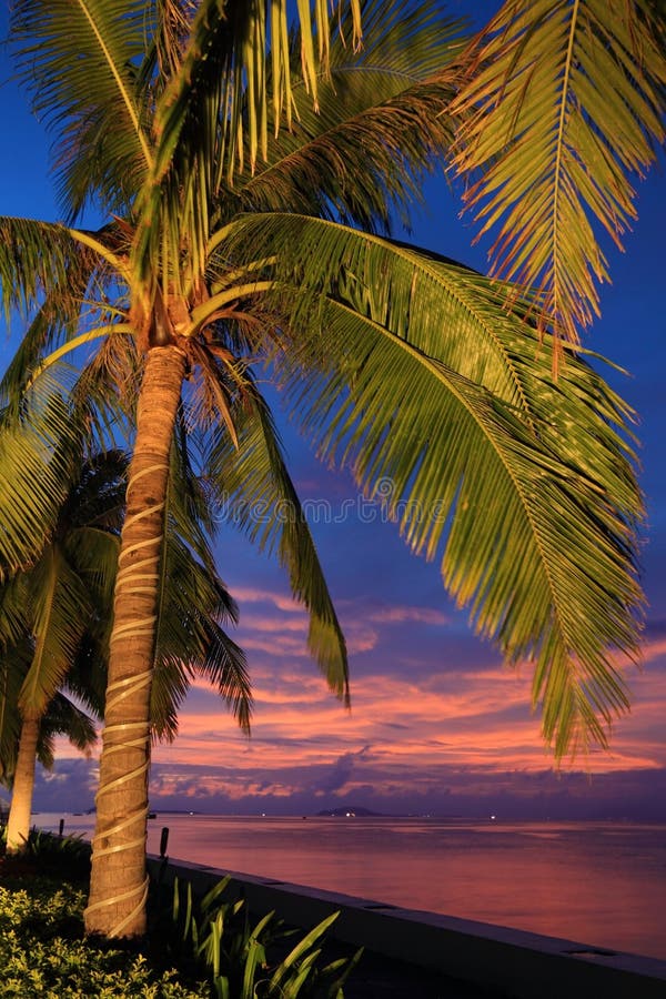 Sanya Bay,Hainan Island,China Stock Image - Image of modern, clean ...