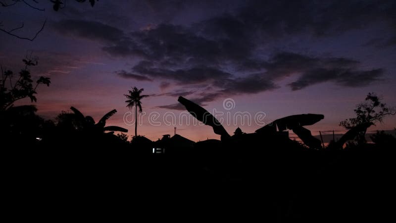 Coconut Tree and Sunset Today Stock Image - Image of cloud, sunset ...