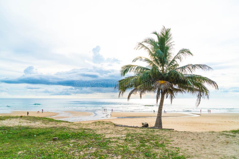 Coconut Tree with Tropical Beach Stock Photo - Image of cloudy, resort ...