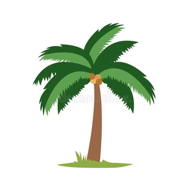 Coconut Tree Vector Image in Flat Design Style Stock Vector ...