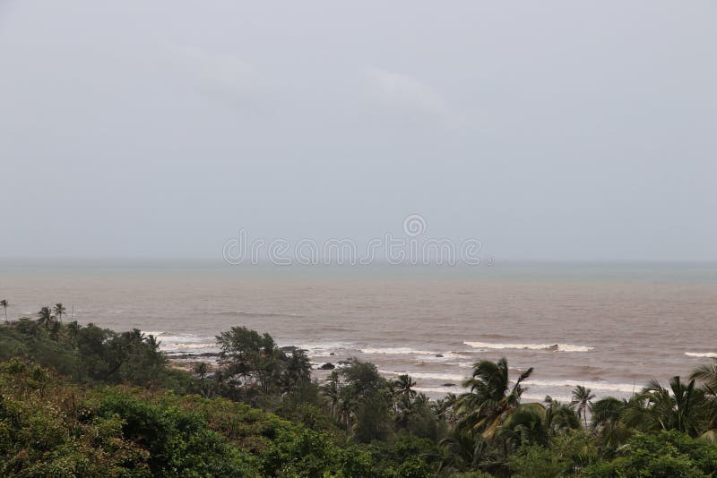 Coconut Trees, Beach Line and Tides, Make this Shot of Beach Life a ...