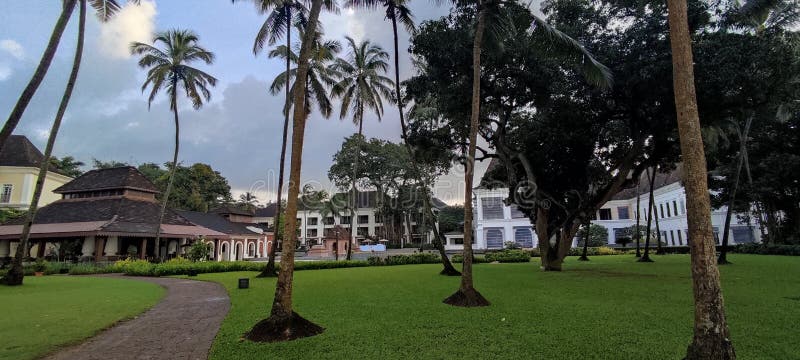 Coconut Trees in a Five Star Beach Resort Stock Image - Image of plaza ...
