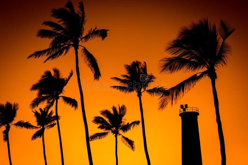 Coconut Trees and Lighthouse Stock Photo - Image of white, nature: 98686710