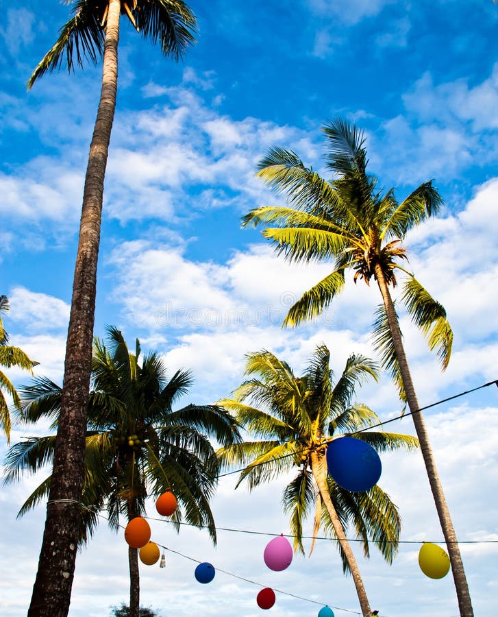 Coconut Trees with Multi-colored Balloons. Stock Image - Image of ...