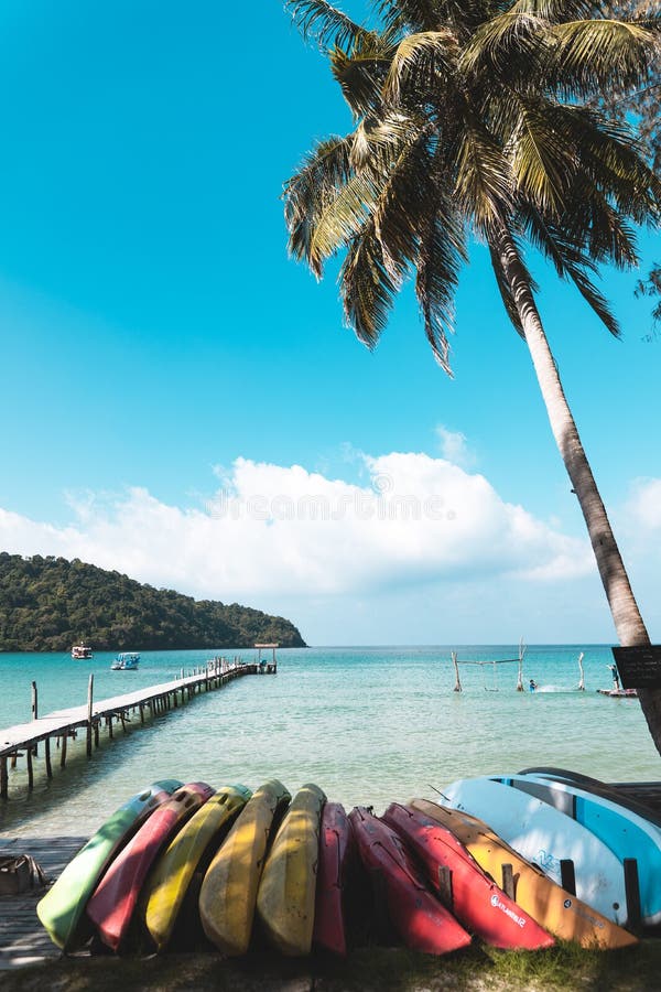 Coconut Trees and the Sky. Relaxing at the Sea. Coconut Trees and the ...