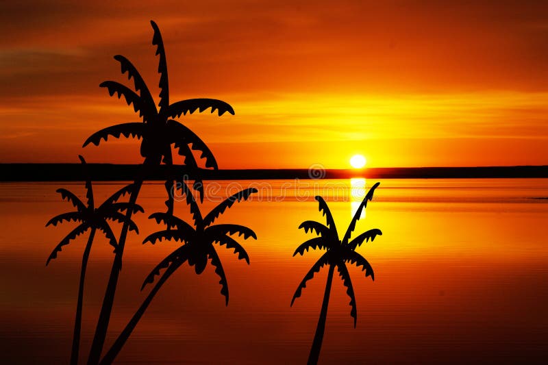 Coconut Trees At Sunset Stock Images - Image: 17051514