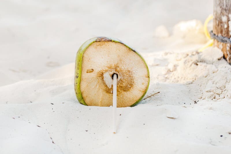 Coconut with Tube Inside on Sand Stock Image - Image of coconut, inside ...