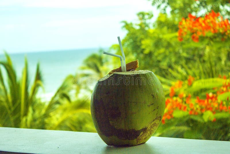 Coconut with a Tube on the Windowsill Stock Photo - Image of food ...