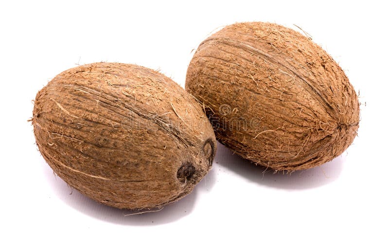 Coconut stock photo. Image of macro, oval, pair, mature - 102746500
