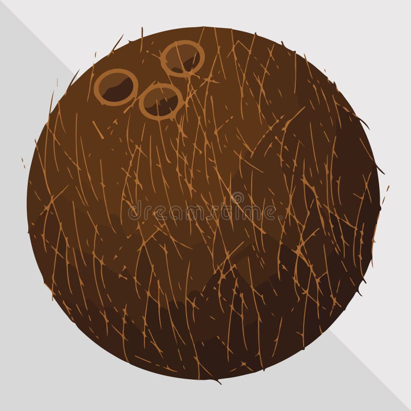 Coconut Vector Design Icon stock vector. Illustration of health - 271966916