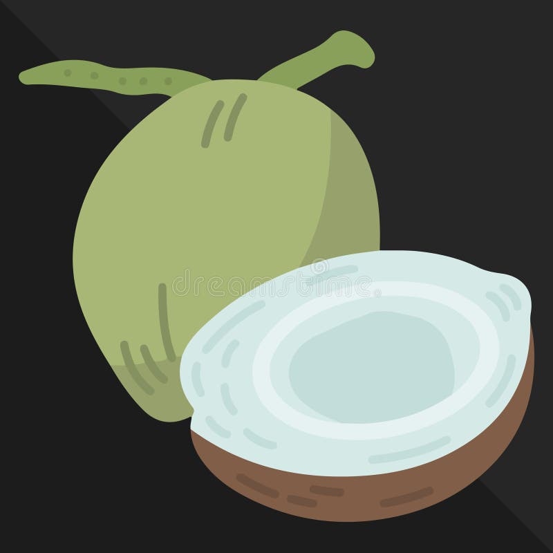 Coconut Vector Design Icon stock vector. Illustration of tropic - 271966890