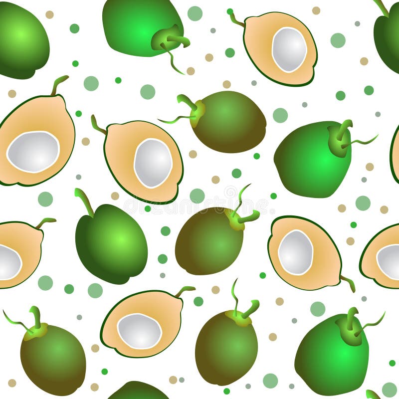 Coconut vector pattern stock vector. Illustration of decor - 188808416