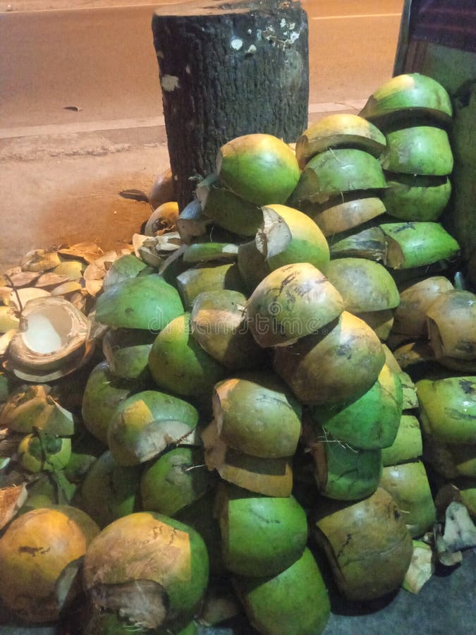 The coconut waste stock image. Image of water, waste - 377994557