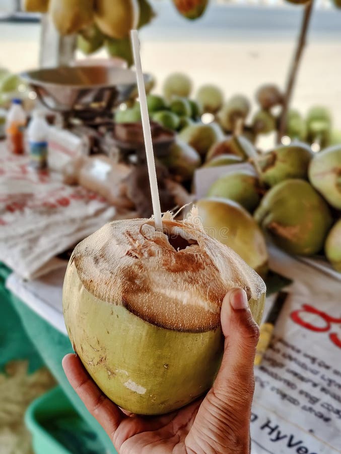 Coconut Water is Ready To for Drinking Help Refresh in India Stock ...