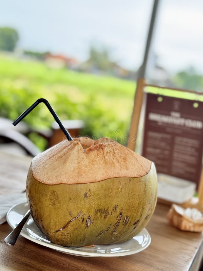 Coconut Water Straight from Coconut Stock Photo - Image of nutrition ...