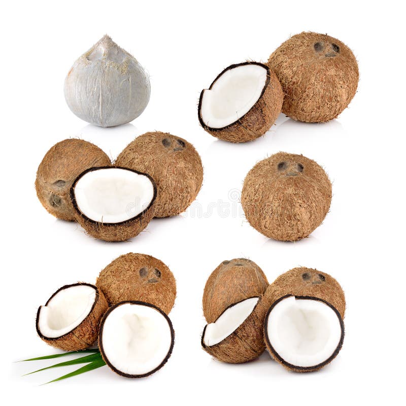 Coconut on White Background Stock Image - Image of shell, food: 113012203
