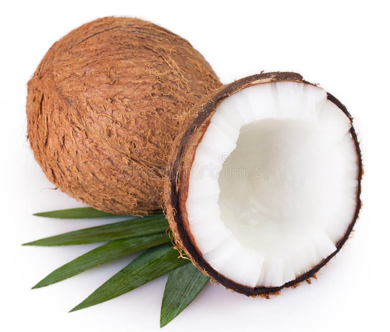 Coconut on White Background Stock Image - Image of coconut, meal: 124563071