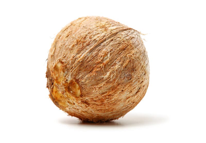 Coconut on White Background Stock Image - Image of diet, cocoanut ...