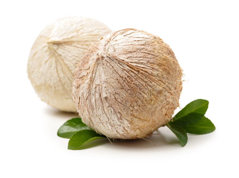 Coconut on White Background Stock Image - Image of broke, coco: 159674641