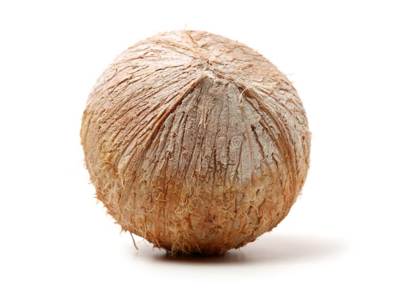 Coconut on White Background Stock Photo - Image of freshness, coco ...